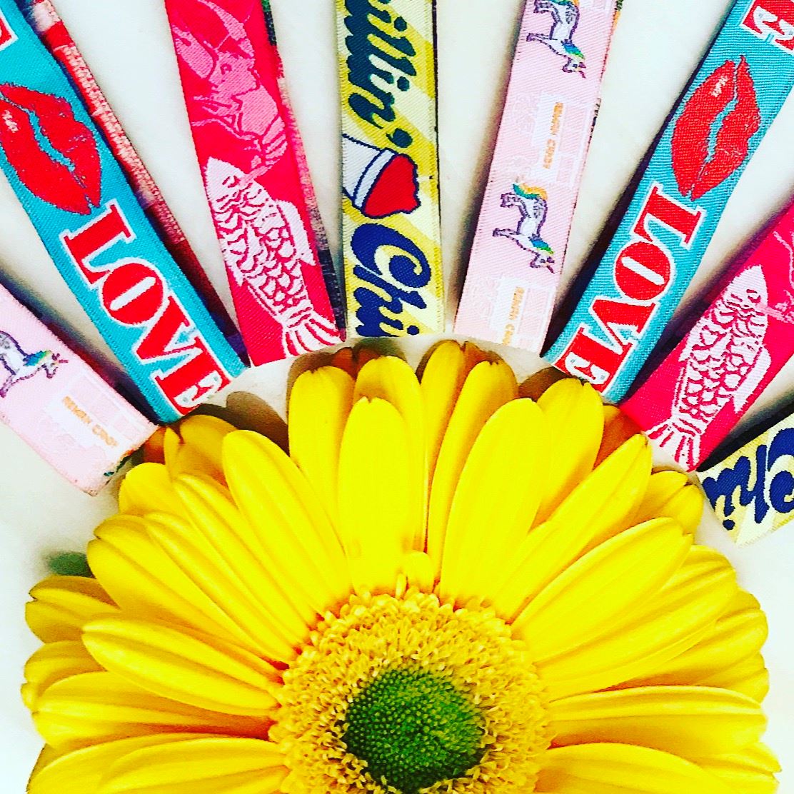 Sarah Ott New Orleans| Sarah Ott New Orleans